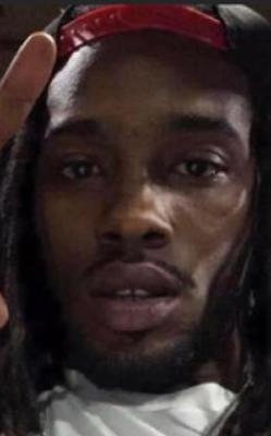 Chicago, Illinois Gun Violence Memorial